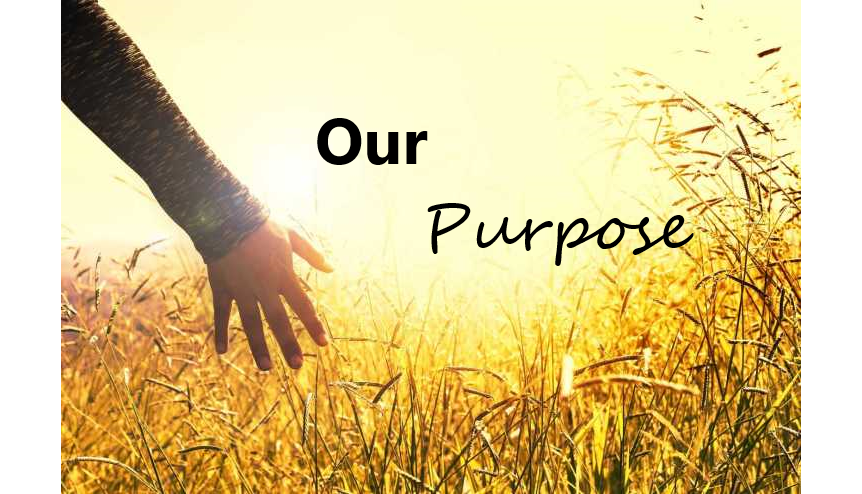 Our Purpose – Andrews PCA